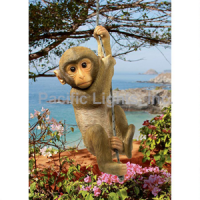 Pacific Lights Inc. LED Lighted Palm Trees - BUY FACTORY DIRECT