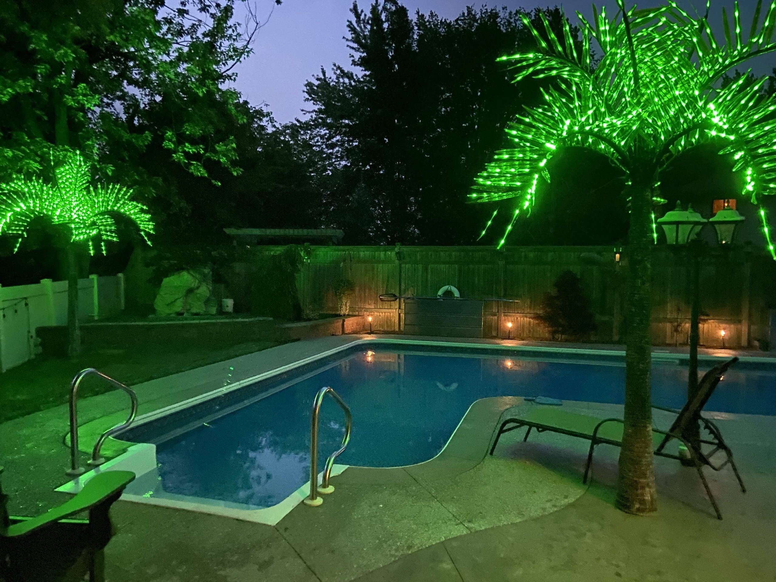 Home | Pacific Lights Inc. LED Lighted Palm Trees | Natural LED Palm ...